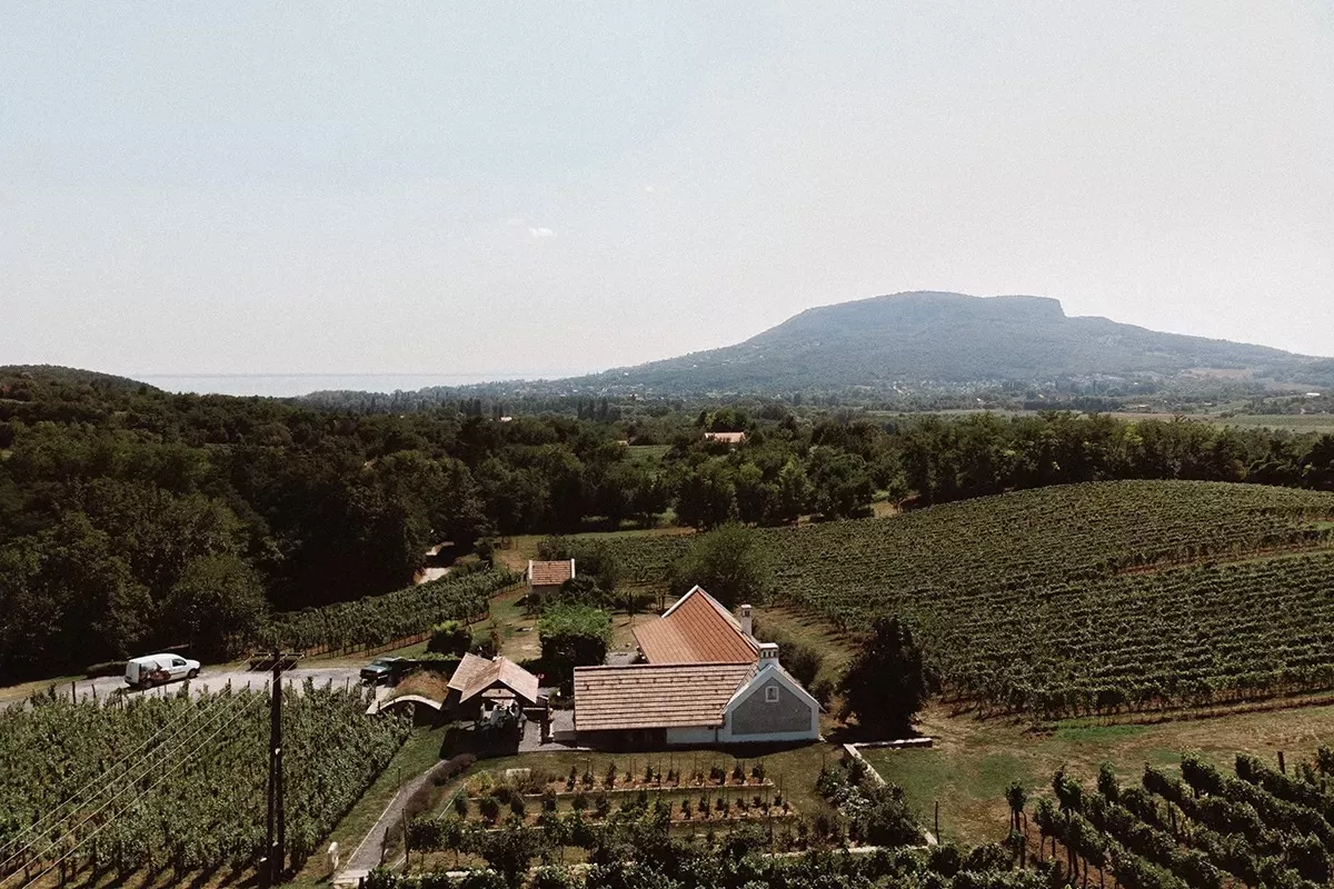 Borjour - Badacsony - Szállás, borkóstolás, borvacsora, borrendelés ...